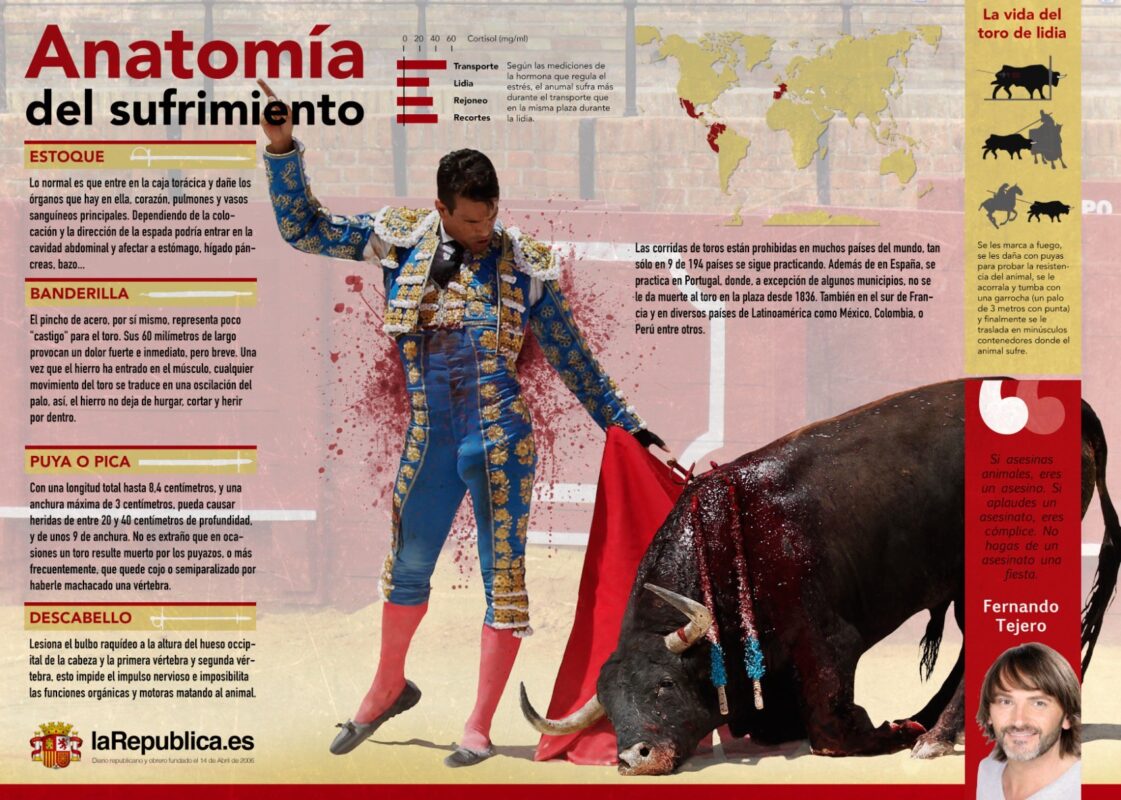 Principio del fin a cinco siglos de tortura en las corridas de toros ...